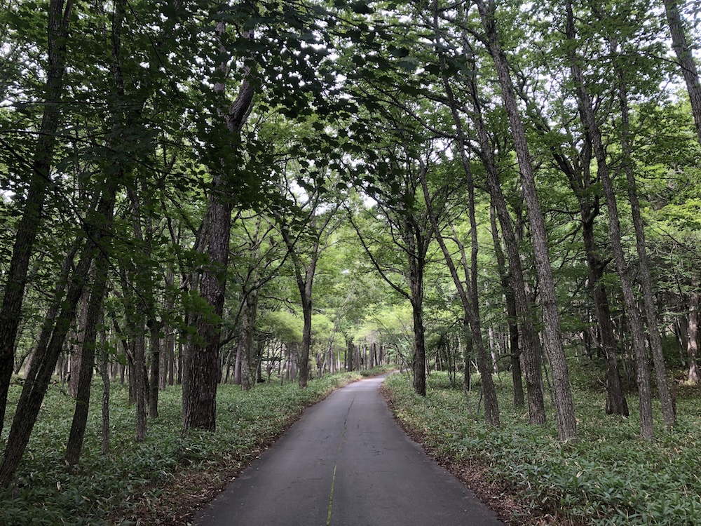 North Nikko | My Website